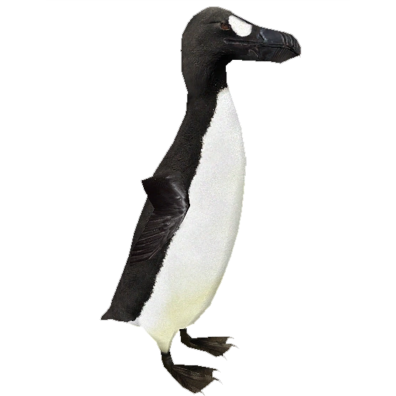 Great Auk (Eryel & Samuel) | ZT2 Download Library Wiki | Fandom
