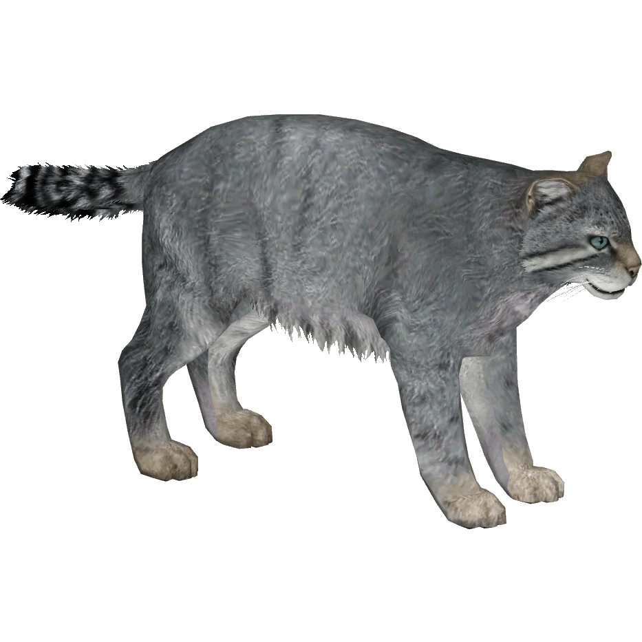 Pallas's Cat (Austroraptor) | ZT2 Download Library Wiki | Fandom