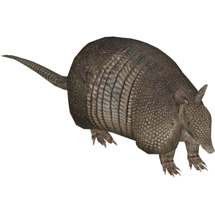 Northern Naked-tailed Armadillo (Tamara Henson) | ZT2 Download Library Wiki | Fandom