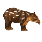 Category:Extinct Tapiroids | ZT2 Download Library Wiki | Fandom