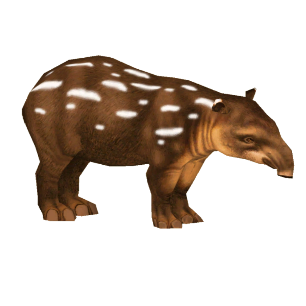 Miotapirus