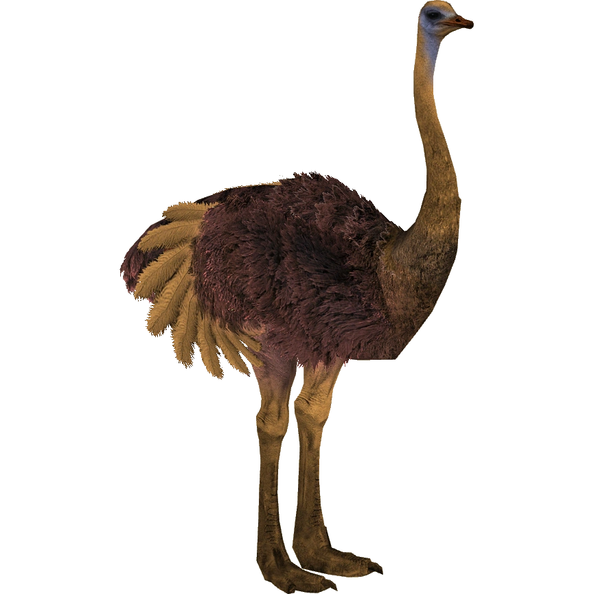 Giant Ostrich (Demon Hunter) | ZT2 Download Library Wiki | Fandom