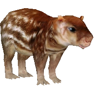 Lowland Paca (Tamara Henson) | ZT2 Download Library Wiki | Fandom