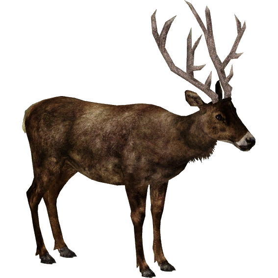 Thorold's White-lipped Deer (Robbie) | ZT2 Download Library Wiki | Fandom