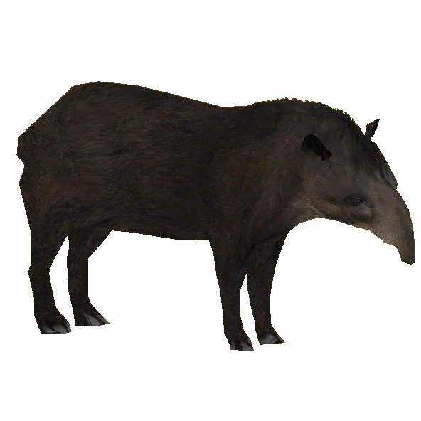 Brazilian Tapir (Athamus) | ZT2 Download Library Wiki | Fandom