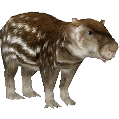 Lowland Paca (Tamara Henson) | ZT2 Download Library Wiki | Fandom