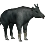 Category:Extinct Giraffoids | ZT2 Download Library Wiki | Fandom