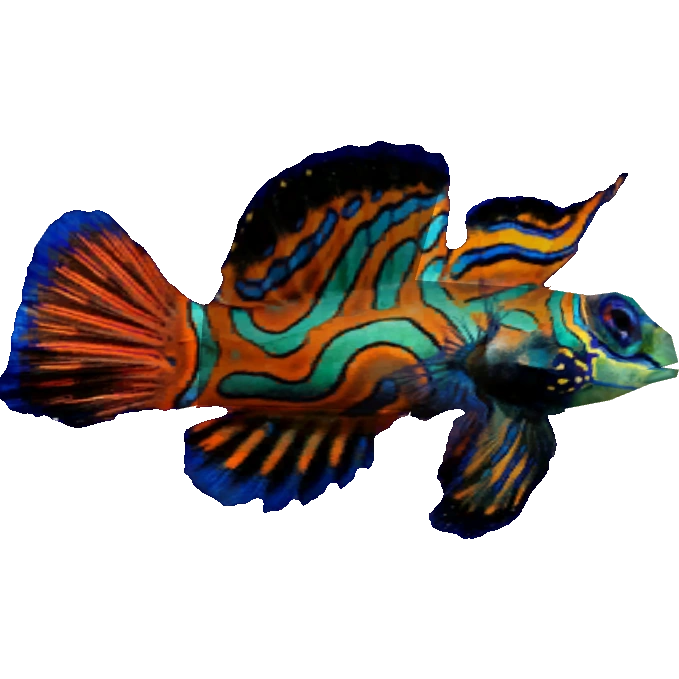 Mandarin Fish (Robbie) | ZT2 Download Library Wiki | Fandom