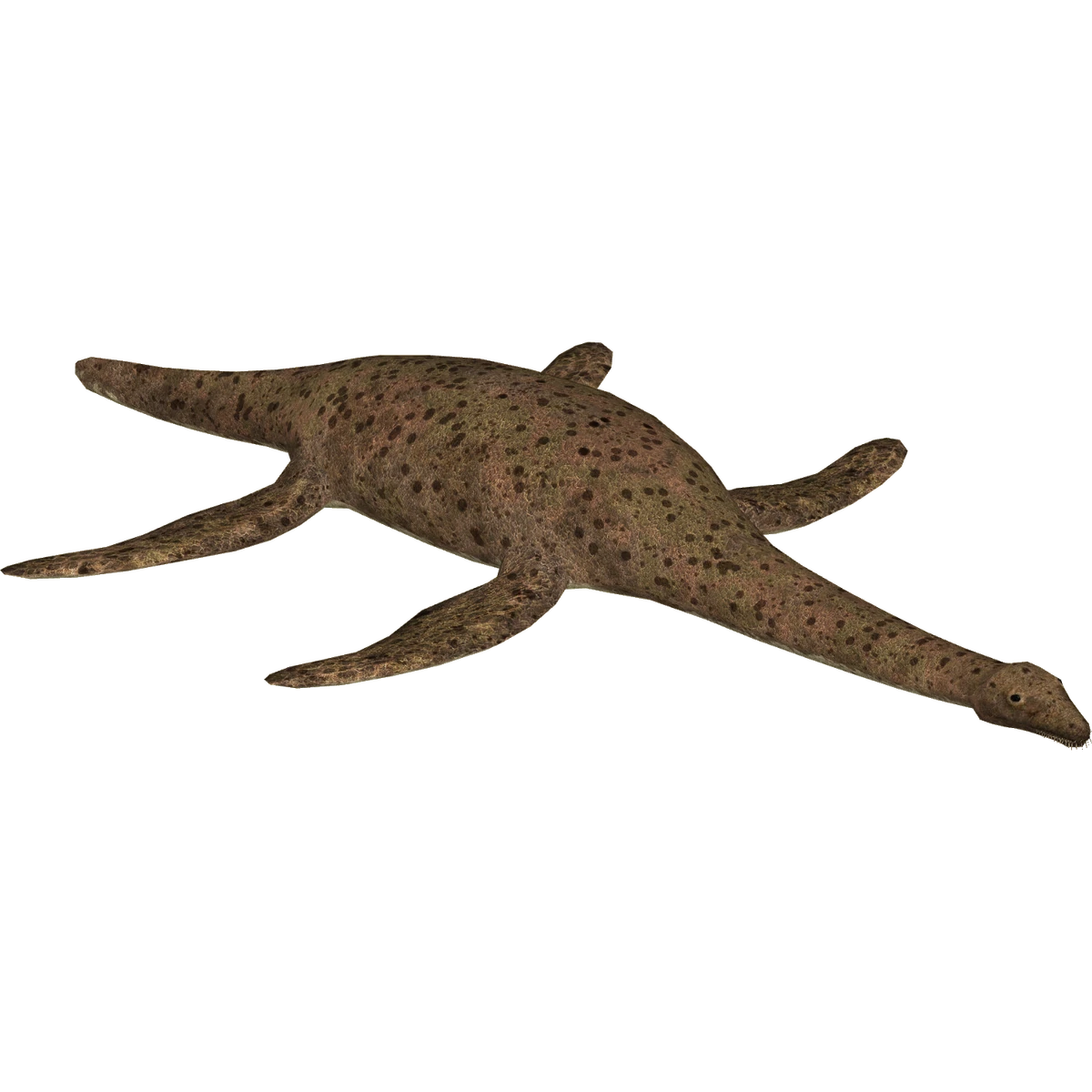 Cryptoclidus (HENDRIX) | ZT2 Download Library Wiki | Fandom