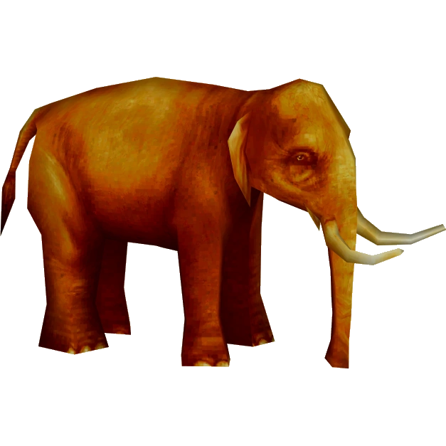 Dwarf Elephant Pet