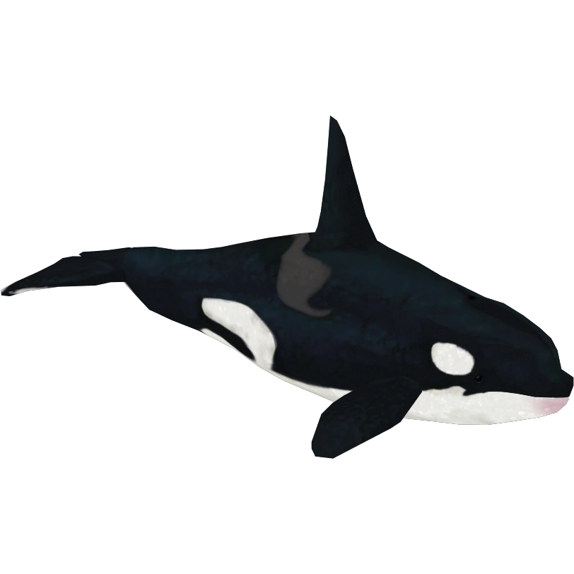 Orca (Buffzoo & SharkingAround) | ZT2 Download Library Wiki | Fandom