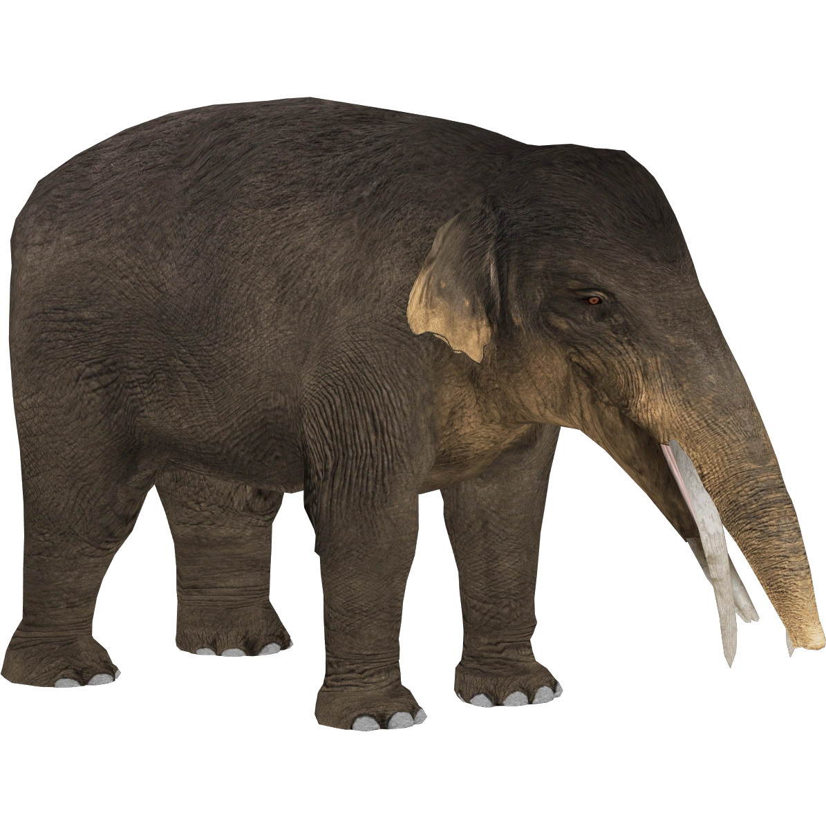 Archaeobelodon (Demon Hunter) | ZT2 Download Library Wiki | Fandom
