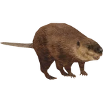 Category:Demon Hunter | ZT2 Download Library Wiki | Fandom