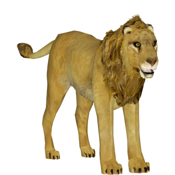 Asiatic Lion (Tamara Henson) | ZT2 Download Library Wiki | Fandom