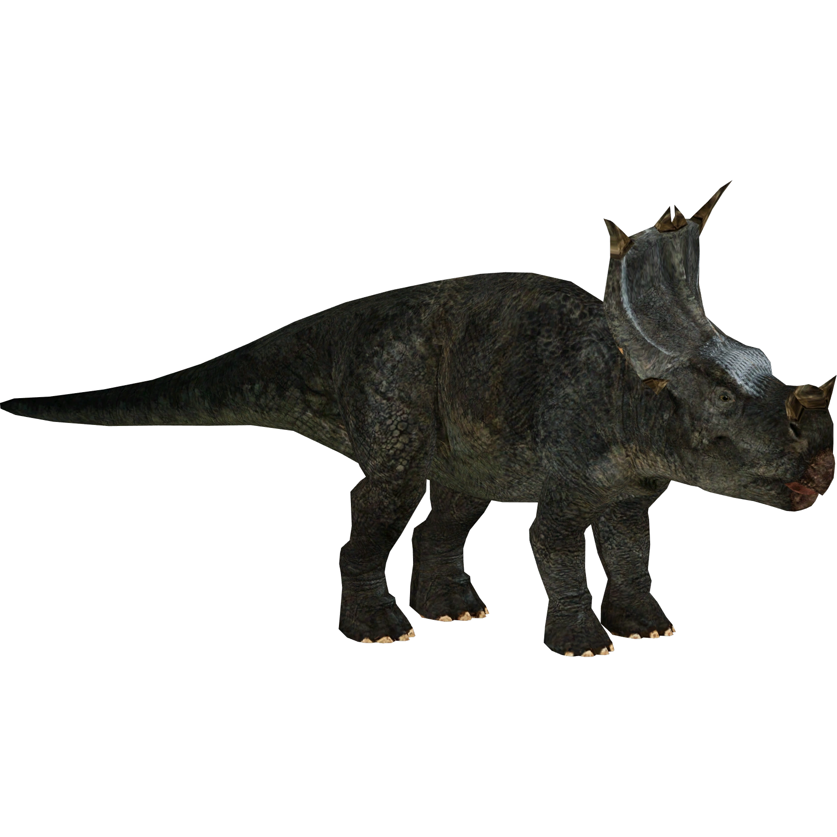 King Kong Ferrucutus