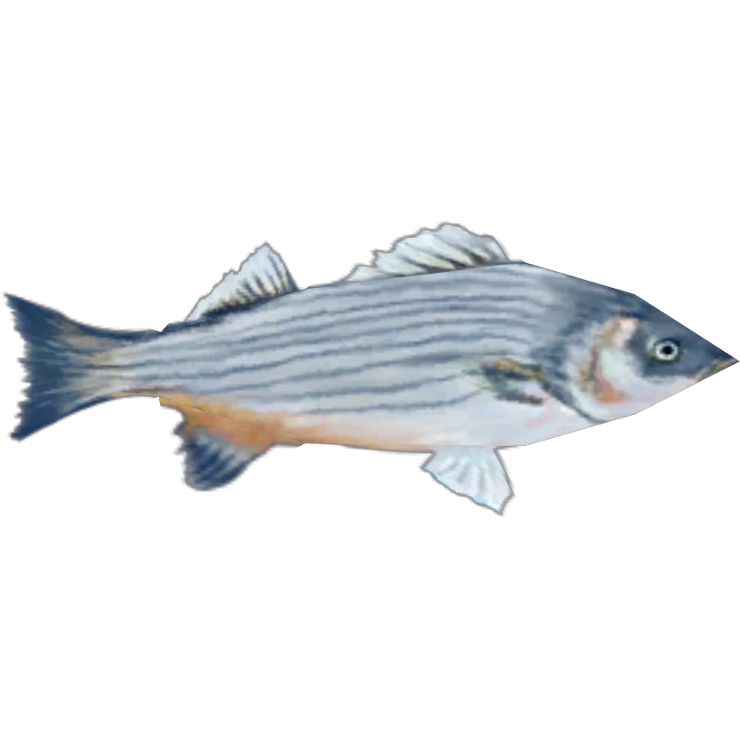 Live Food Fish (NanoLancensis) | ZT2 Download Library Wiki | Fandom