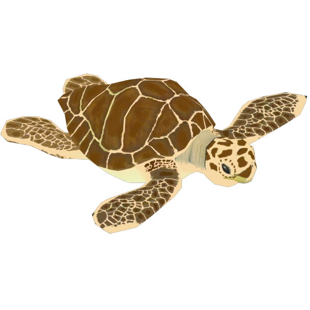 Loggerhead Turtle (Dannybob) | ZT2 Download Library Wiki | Fandom