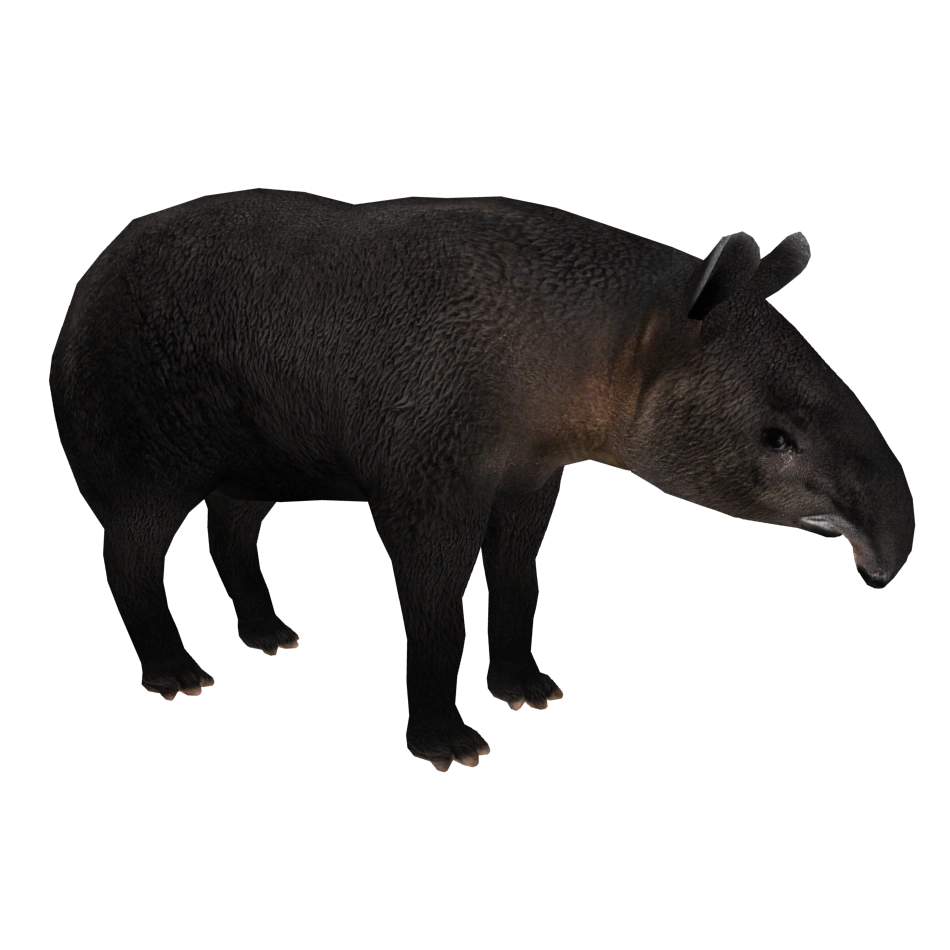 Mountain Tapir (Eryel) | ZT2 Download Library Wiki | Fandom