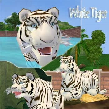 White Tiger (Czar & SilesianTomcat) | ZT2 Download Library Wiki | Fandom