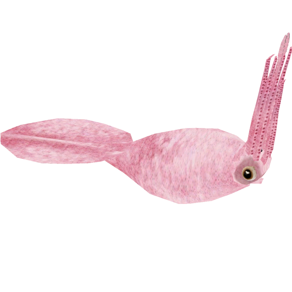 Mesonychoteuthis Hamiltoni