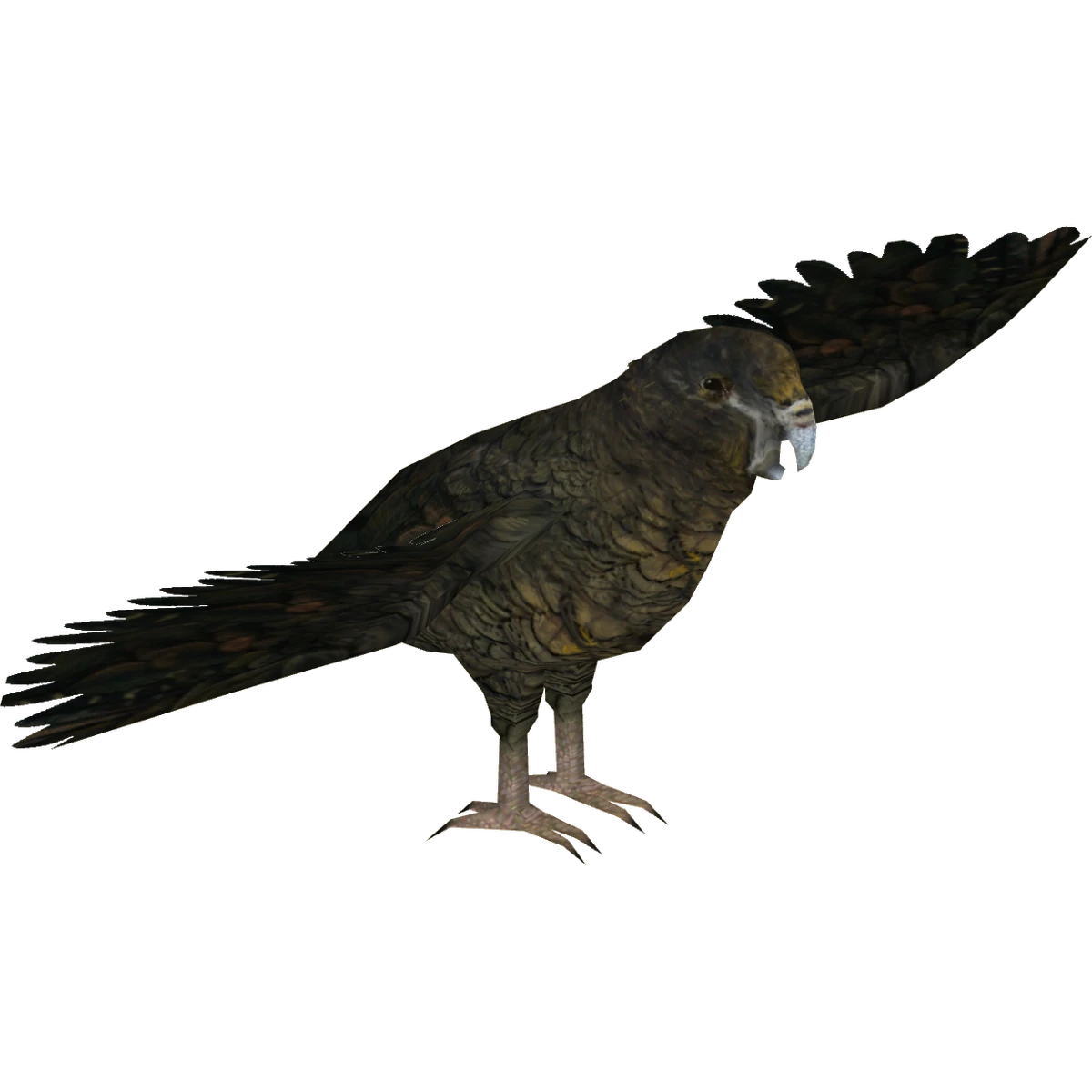 Giant Parrot (Demon Hunter) | ZT2 Download Library Wiki | Fandom