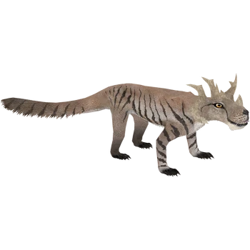 Paraburnetia (Acinonyx Jubatus) | ZT2 Download Library Wiki | Fandom