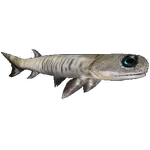 Category:Extinct Cartilaginous Fish | ZT2 Download Library Wiki | Fandom