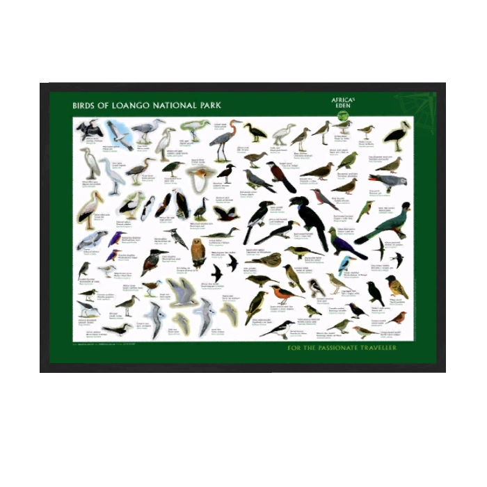 Framed Posters (Zeta-Designs) | ZT2 Download Library Wiki | Fandom