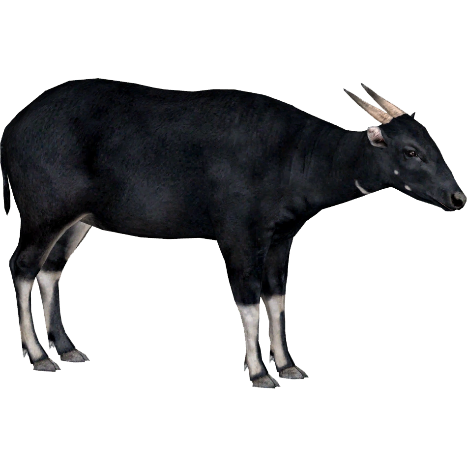 Lowland Anoa (ZTABC Team) | ZT2 Download Library Wiki | Fandom