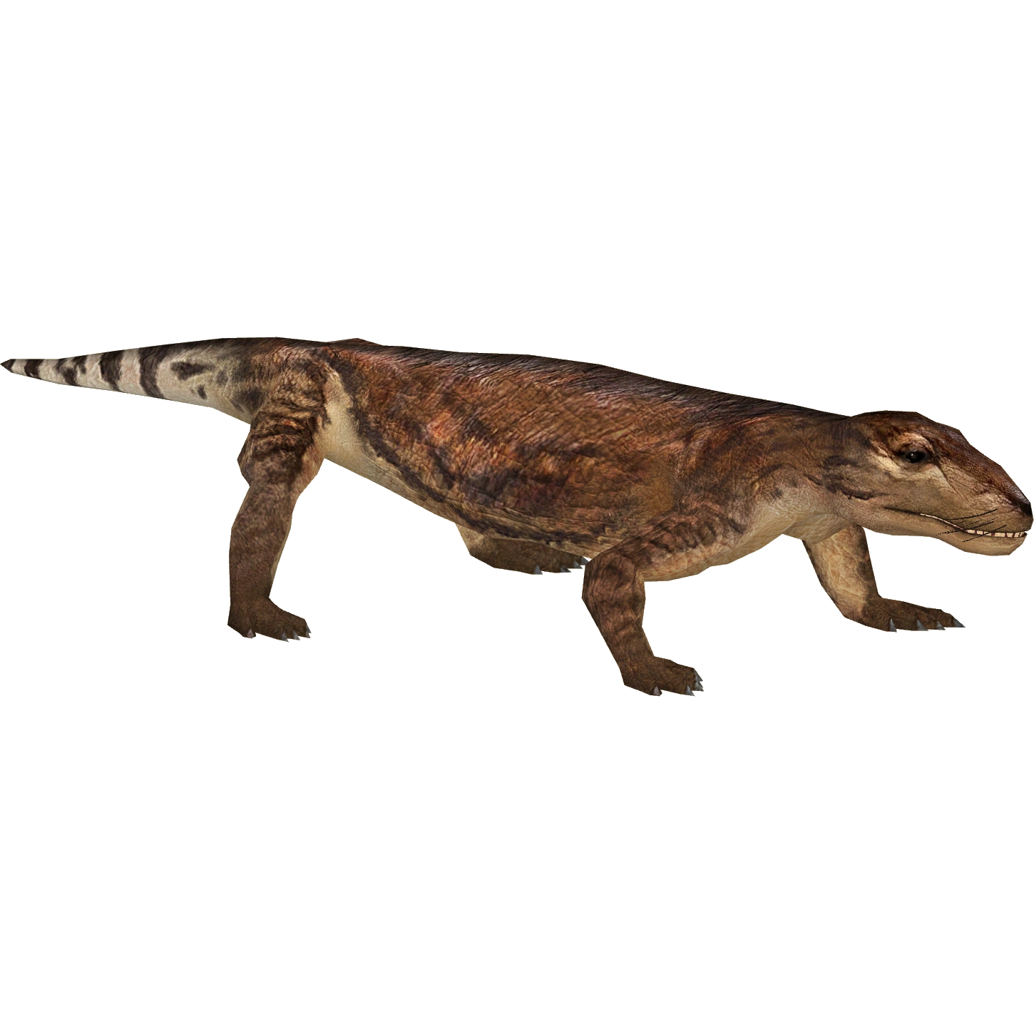 Thrinaxodon