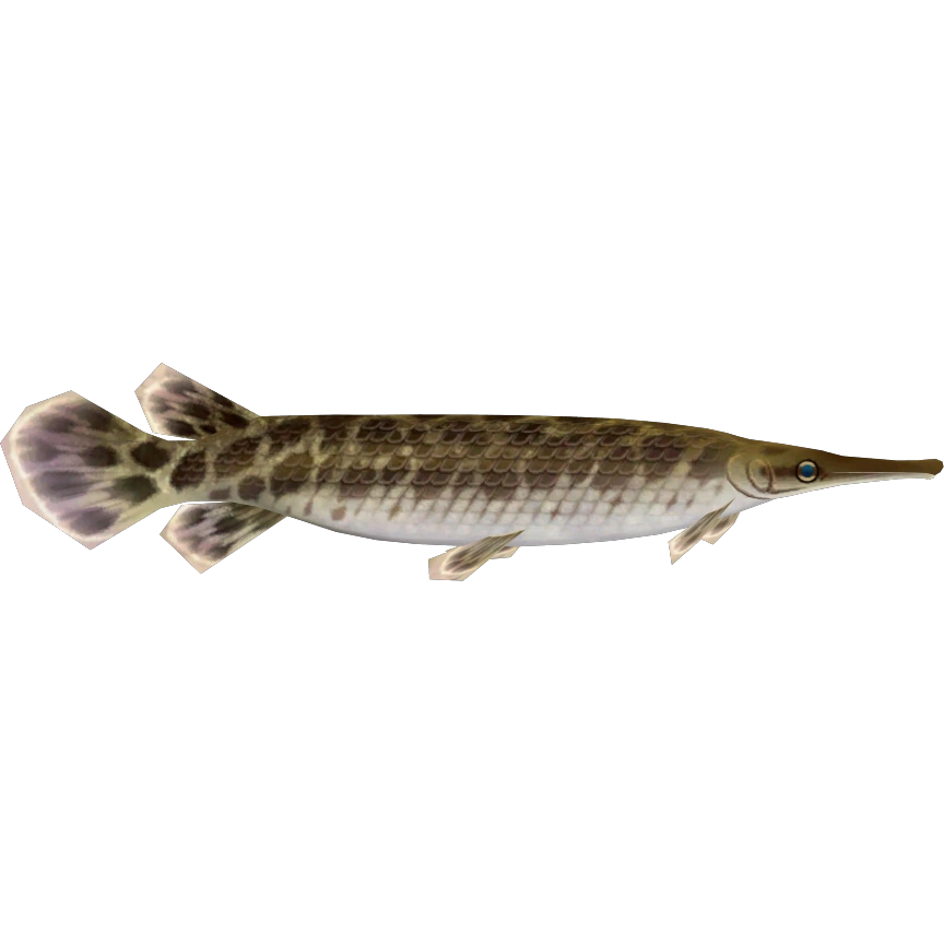 Spotted Gar (Buffzoo & Thom) | ZT2 Download Library Wiki | Fandom