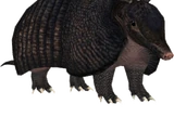 Category:Armadillos | ZT2 Download Library Wiki | Fandom