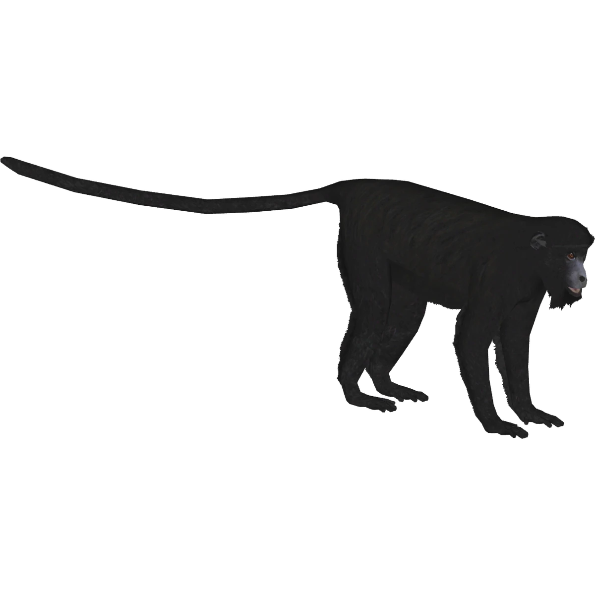 Category:Howler Pack (Bunteriro) | ZT2 Download Library Wiki | Fandom