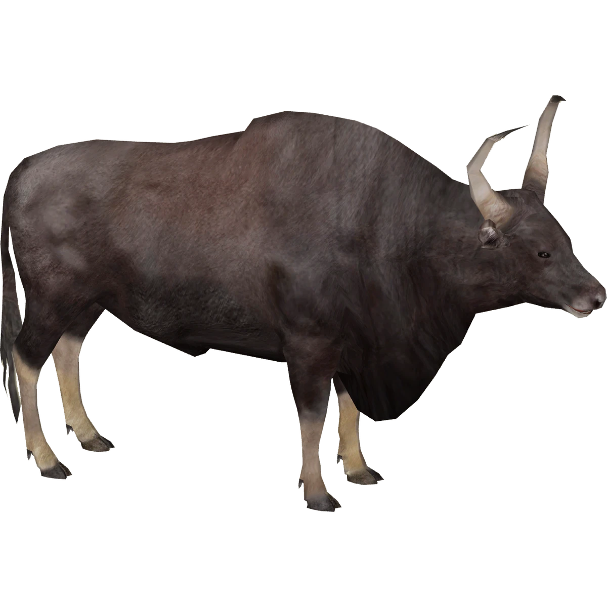 Kouprey (Tamara Henson) | ZT2 Download Library Wiki | Fandom