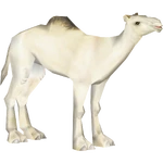 Category:Extinct Camelids | ZT2 Download Library Wiki | Fandom