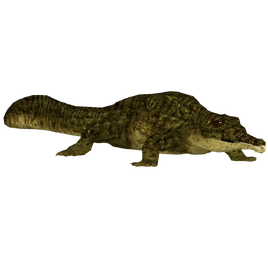 Platyoposaurus (Tyranachu) | ZT2 Download Library Wiki | Fandom