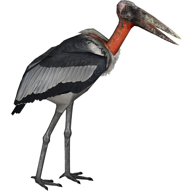Giant Marabou Stork (Lazardi) | ZT2 Download Library Wiki | Fandom