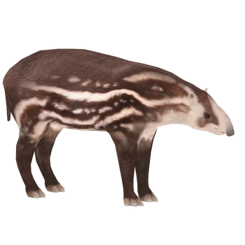 Heptodon (Demon Hunter) | ZT2 Download Library Wiki | Fandom