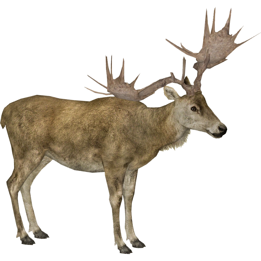 Irish Elk (Doc118) | ZT2 Download Library Wiki | Fandom
