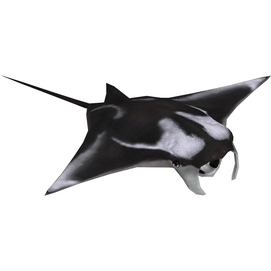 Manta Ray (Buffzoo) | ZT2 Download Library Wiki | Fandom