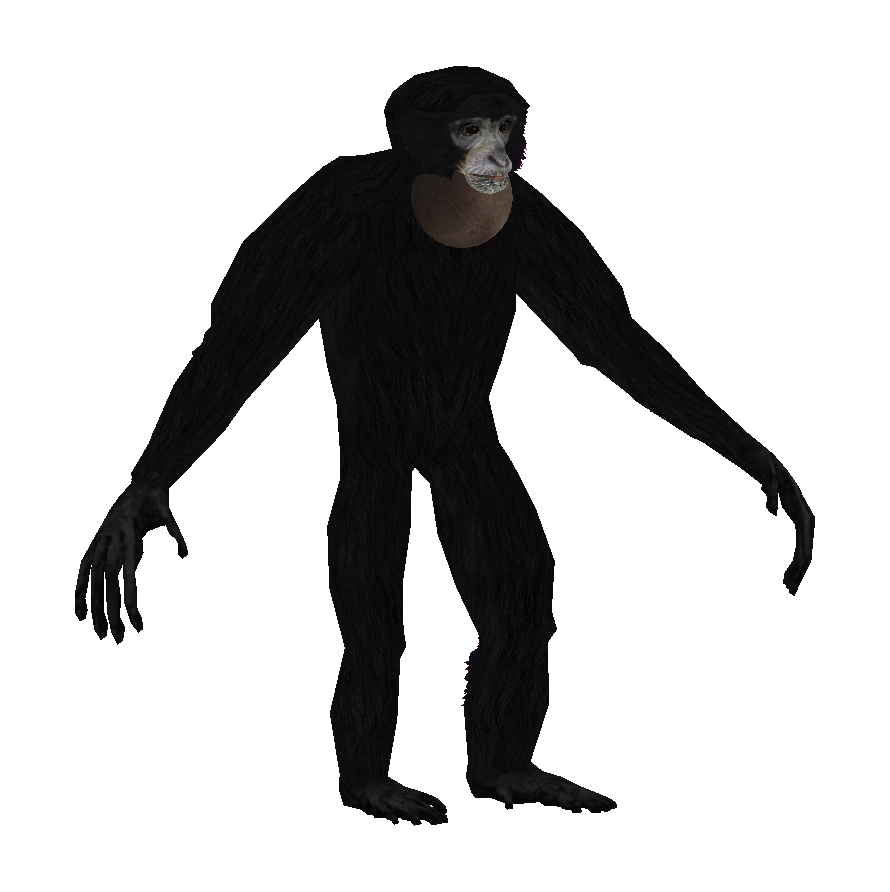 Siamang (Simia Negotii Team) | ZT2 Download Library Wiki | Fandom