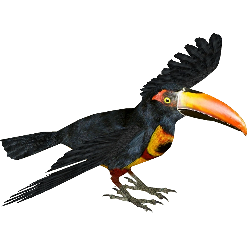 Fiery-billed Aracari (Zerosvalmont) | ZT2 Download Library Wiki | Fandom