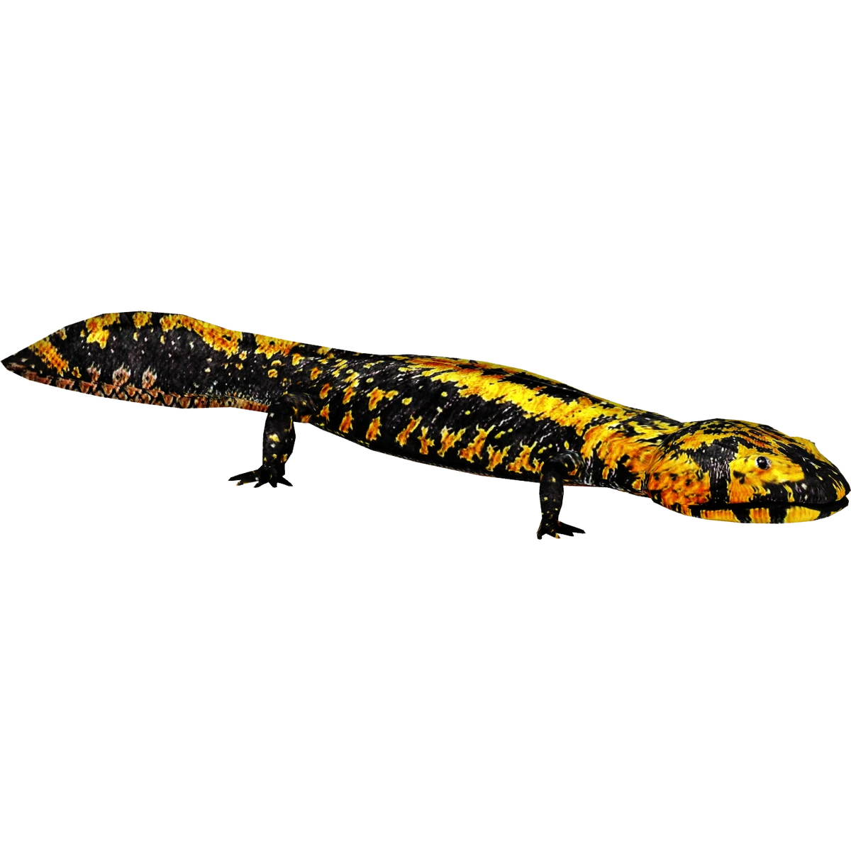 Hynerpeton (Alvin Abreu) | ZT2 Download Library Wiki | Fandom