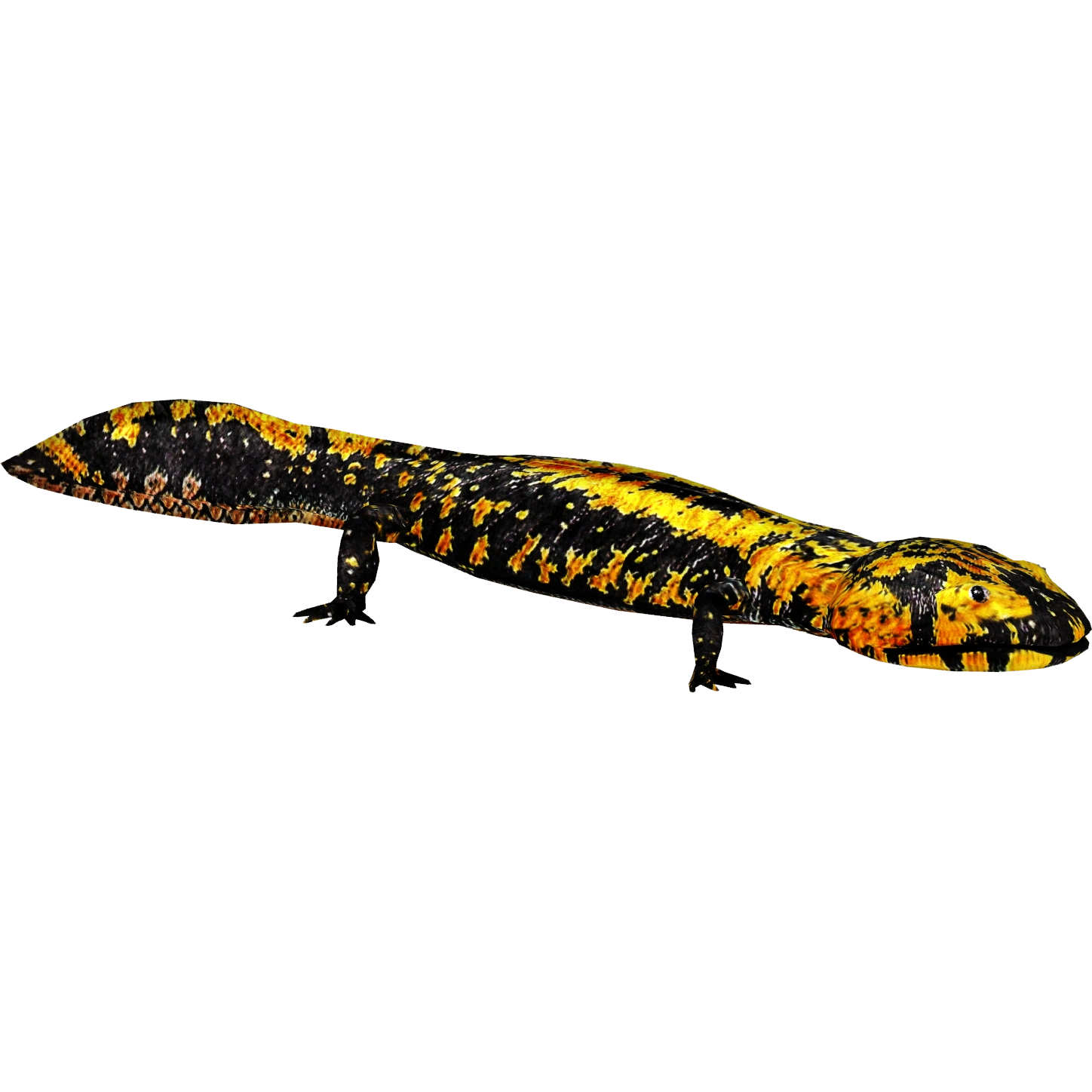 Hynerpeton (Alvin Abreu) | ZT2 Download Library Wiki | Fandom