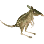 Category:Extinct Mammals | ZT2 Download Library Wiki | Fandom