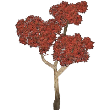 Southern Rata (Artifex) | ZT2 Download Library Wiki | Fandom