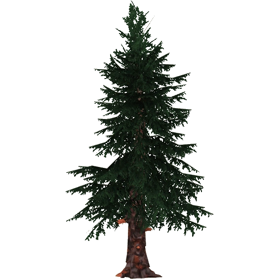 Spruce (slice) | ZT2 Download Library Wiki | Fandom