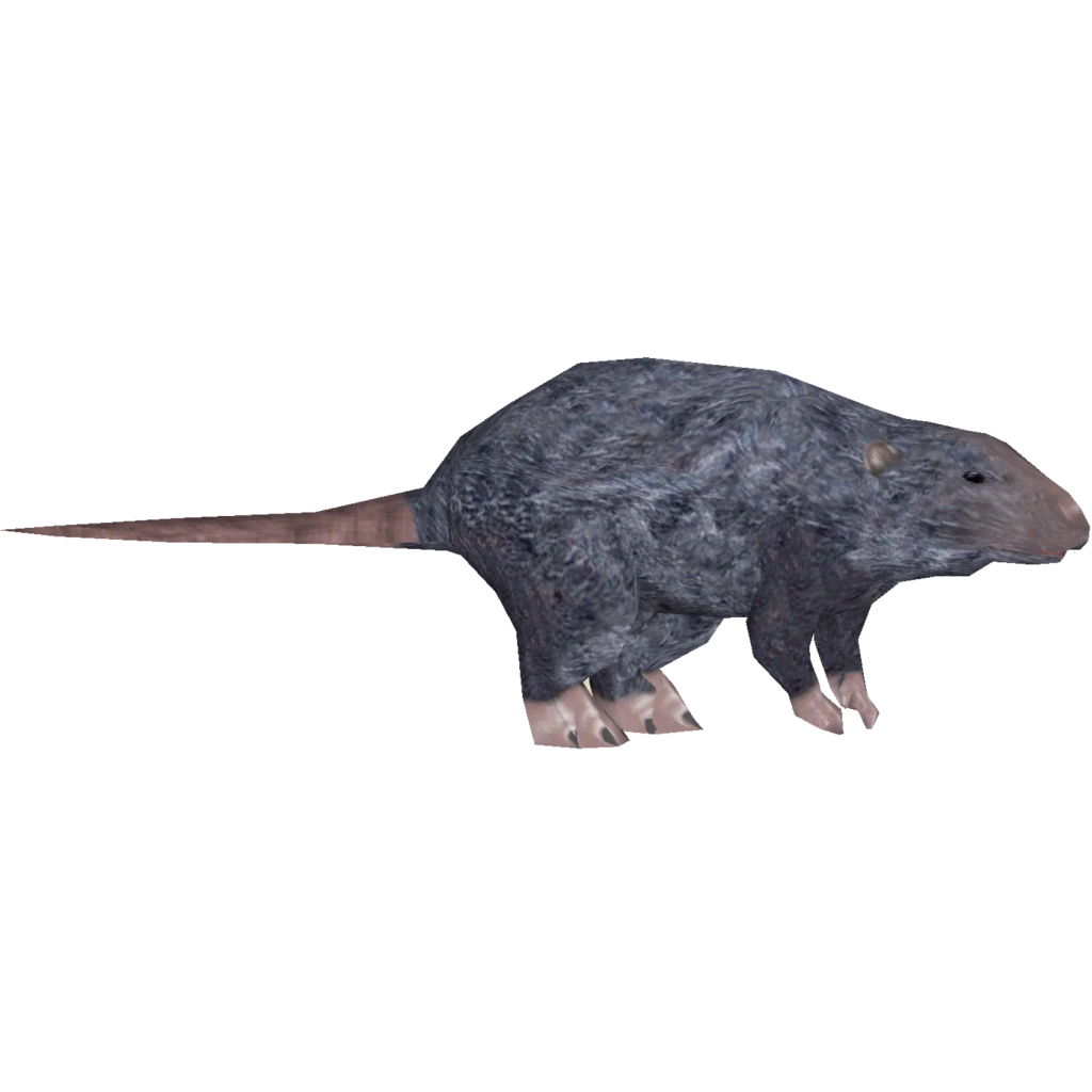 Giant Rat (Z-Studio) | ZT2 Download Library Wiki | Fandom