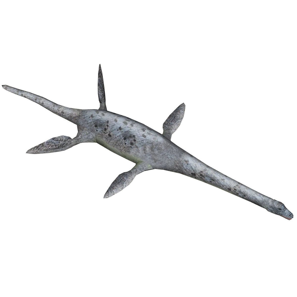 Cryptoclidus (Andrew12) | ZT2 Download Library Wiki | Fandom