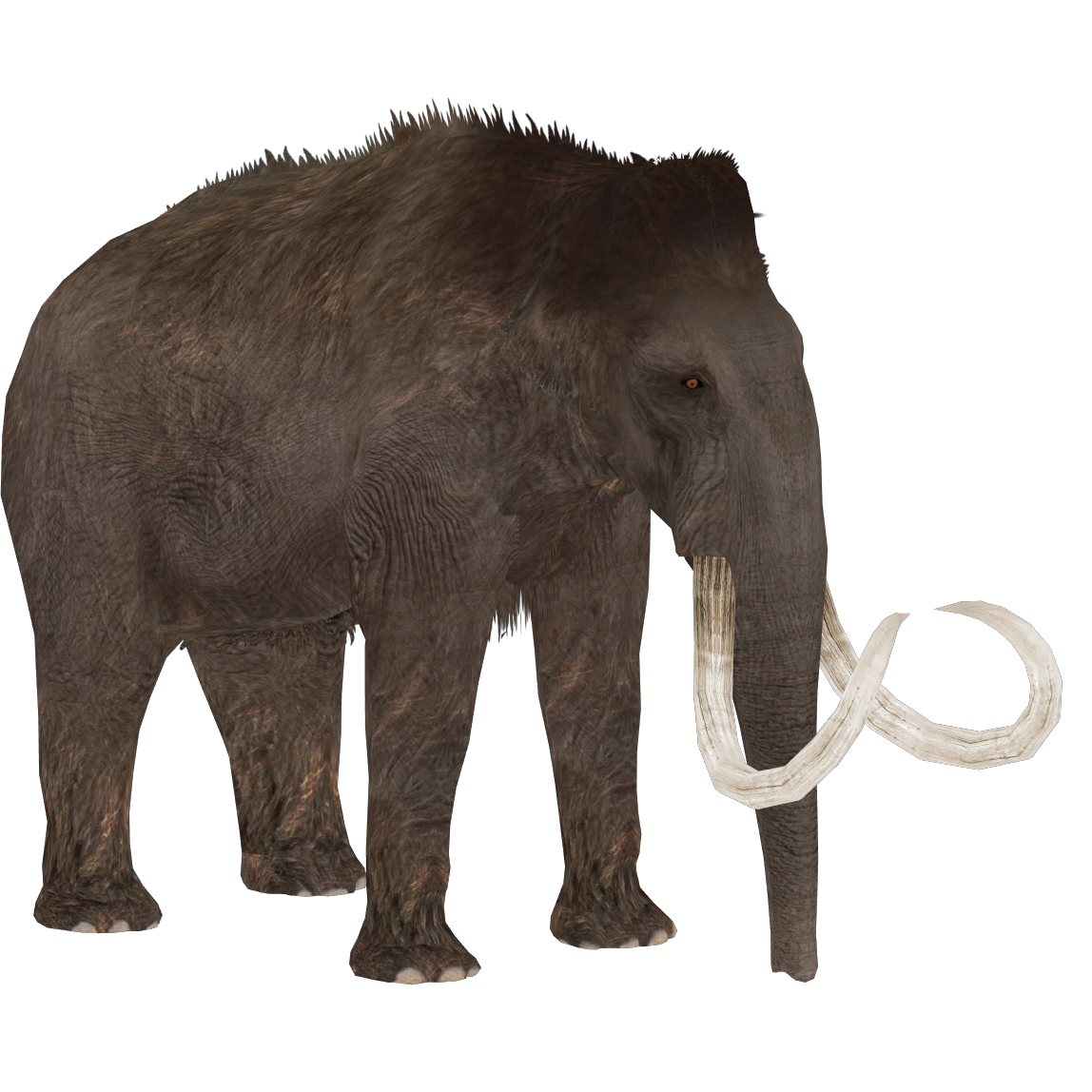 Dwarf Sardinian Mammoth (Demon Hunter) | ZT2 Download Library Wiki | Fandom